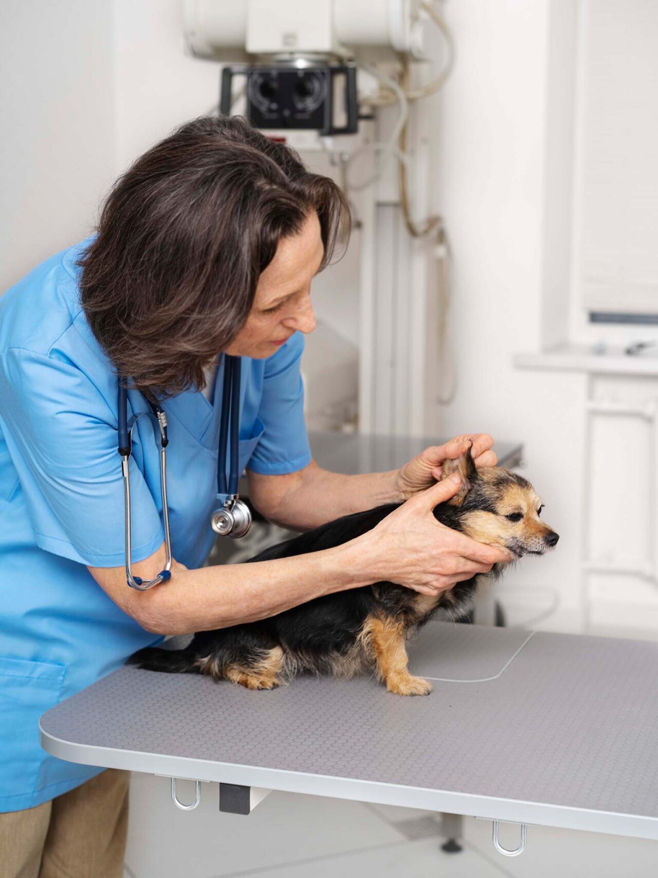 Patient Referral Form – crown Veterinary Dental Specialists